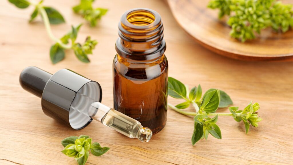 A Beginner’s Guide On How to Make Oregano Oil - Theweeklyspoon